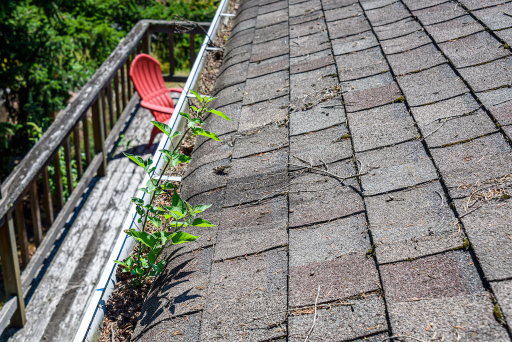Master the Craft of Cleaning Gutters: A Complete Guide