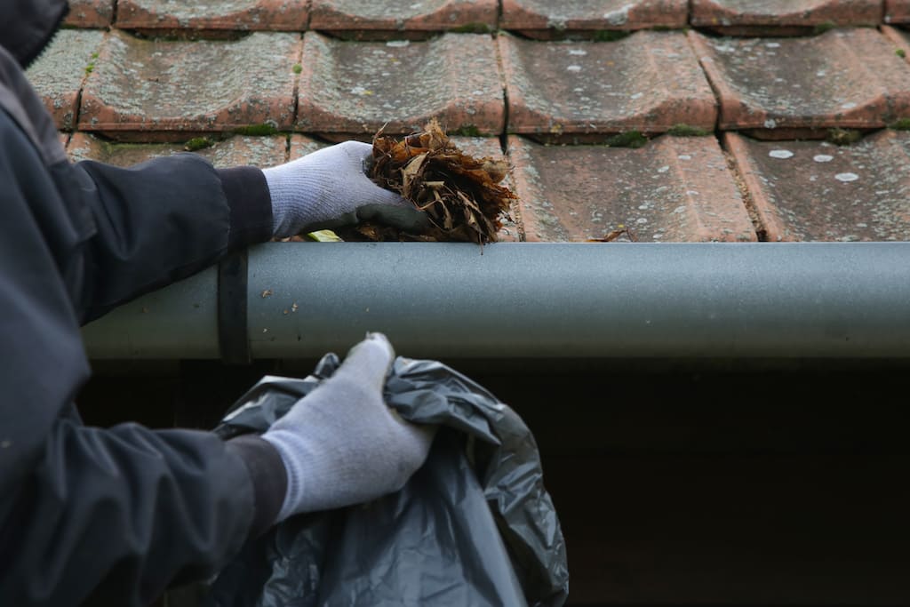 Master the Craft of Cleaning Gutters: A Complete Guide