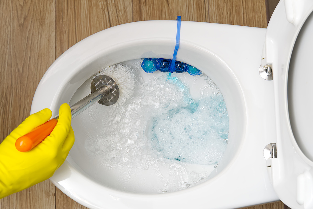 Toilet limescale remover store